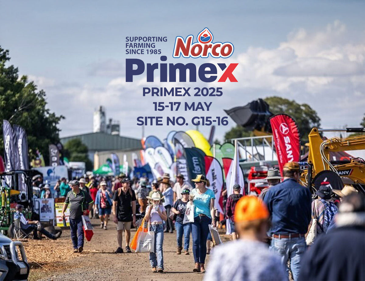 Primex Casino 2025 – Kayo Moto Australia