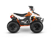 Dirt Bikes, Pit Bikes, Quads, ATVs, Buggies, and Go Karts for Sale ...